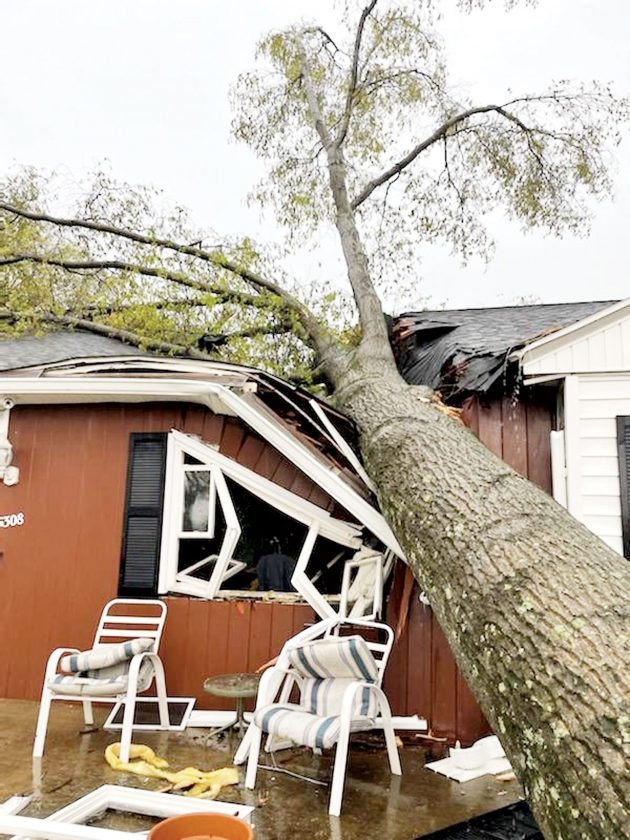 Picture This: Tree down on Avery Street | News, Sports, Jobs - News and ...